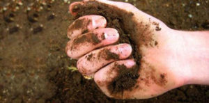 Apa Itu Tanah Girik? | BangunRumah.com